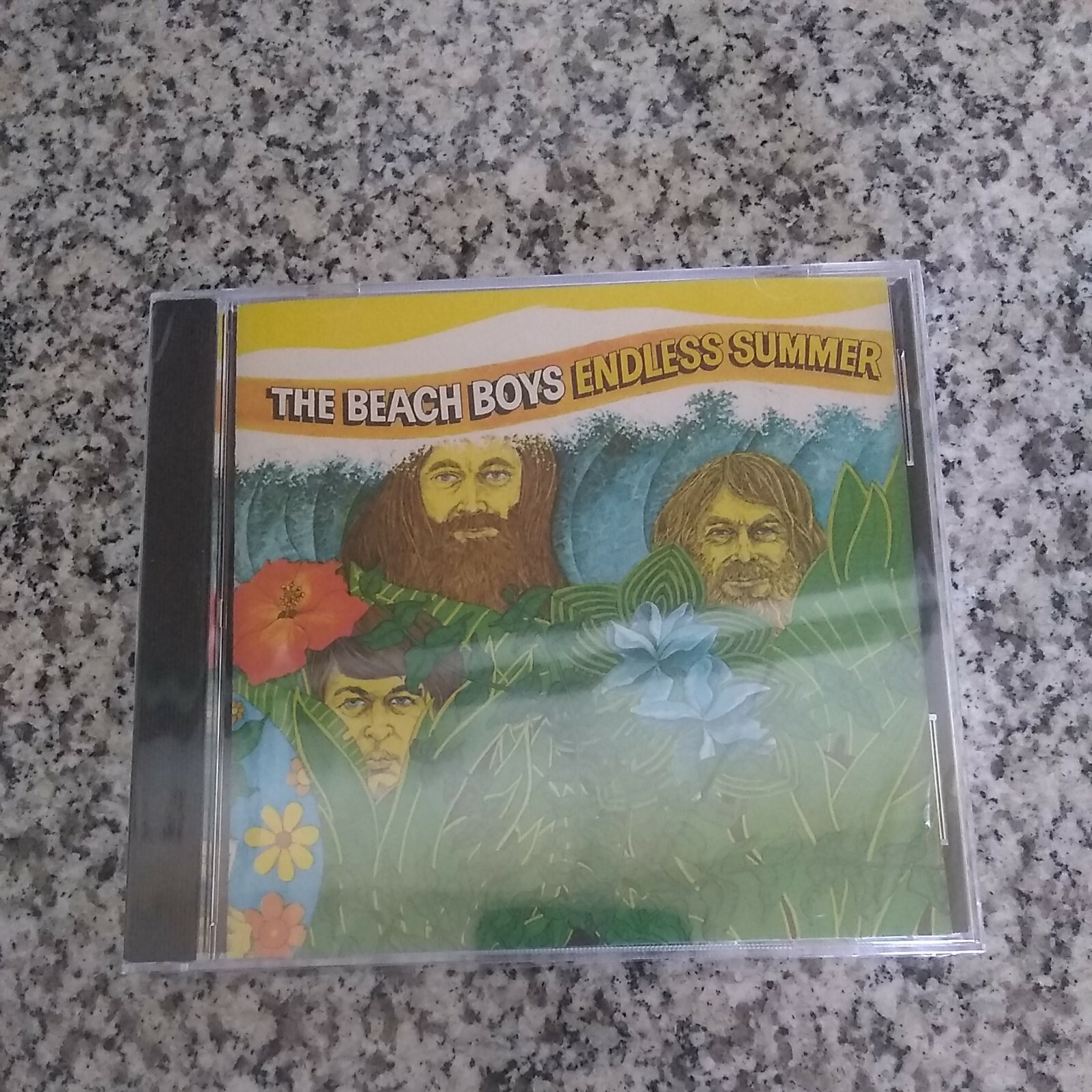 Beach Boys Endless Summer Album Covers