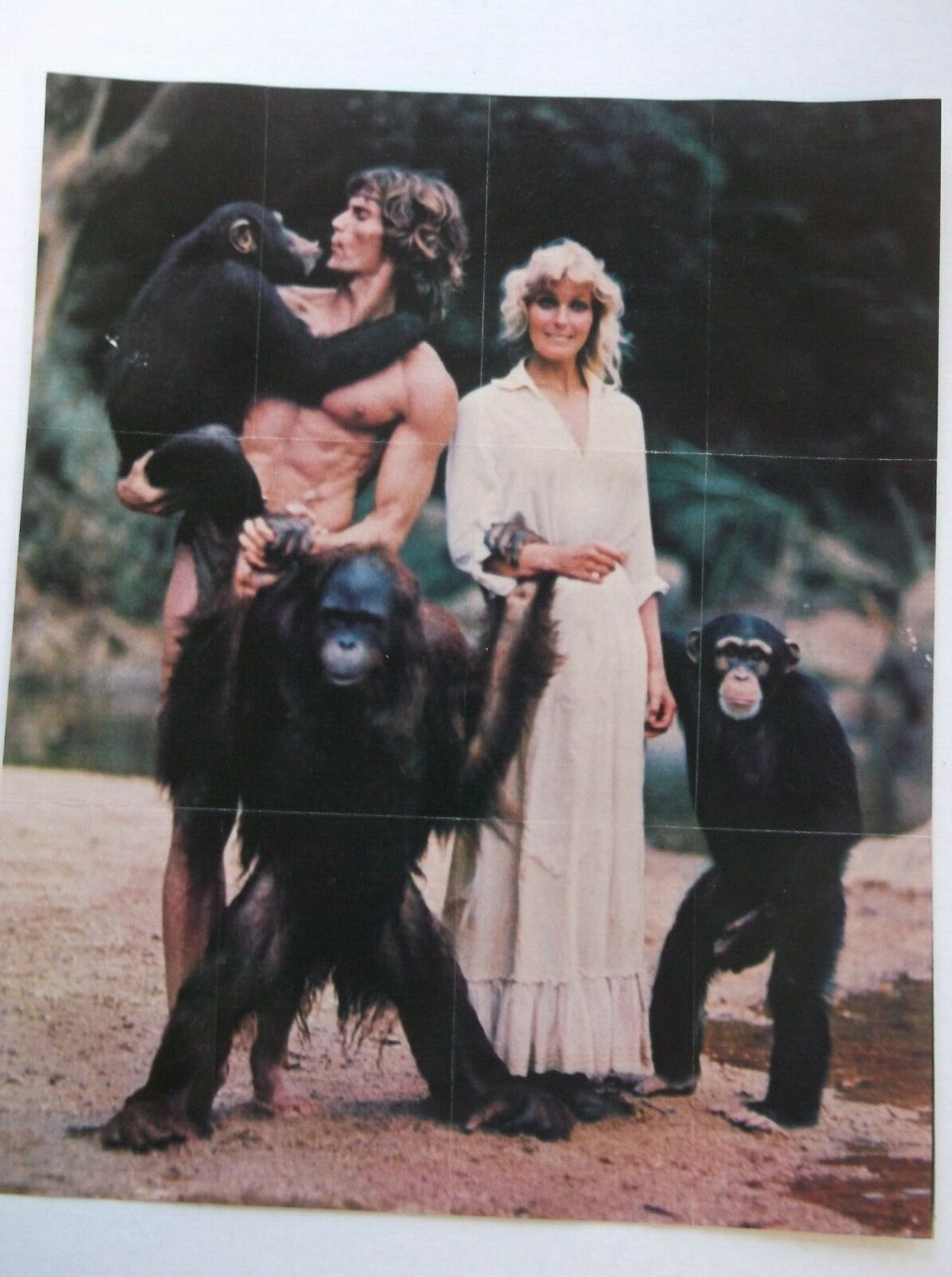 TARZAN THE APE MAN 1981 Mini Poster Set of 12 Complete BO DEREK MILES O ...